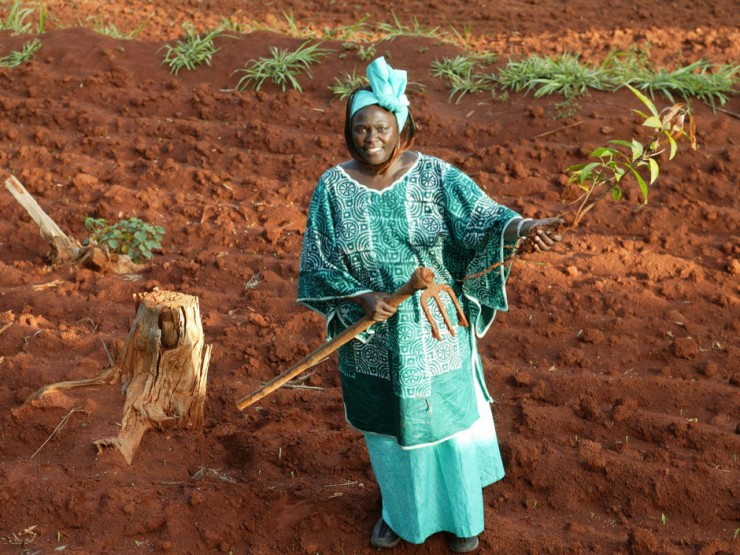 Wangari Muta Maathai, La Mujer Árbol – Revista Lima
