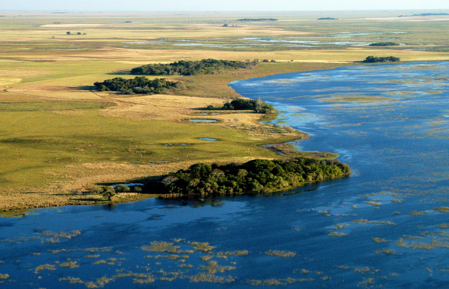 NACE EL MAYOR PARQUE NATURAL DE LA ARGENTINA. Diputados aprobó la ...